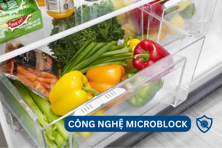 Công nghệ Microblock là gì? Công dụng và top 3 sản phẩm ứng dụng