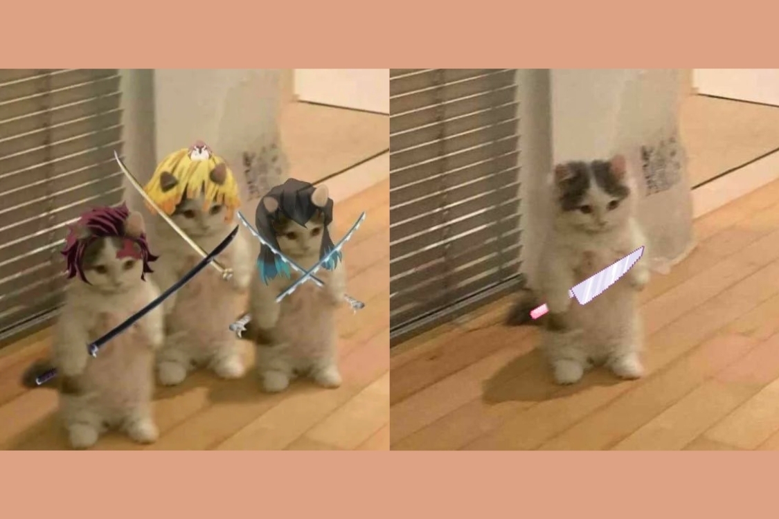 Cười bể bụng với bộ sưu tập hình ảnh meme mèo cầm dao lầy lội