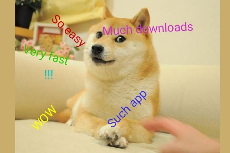 Top meme ảnh chó hài hước trên mạng xã hội, nguồn gốc và ý nghĩa!