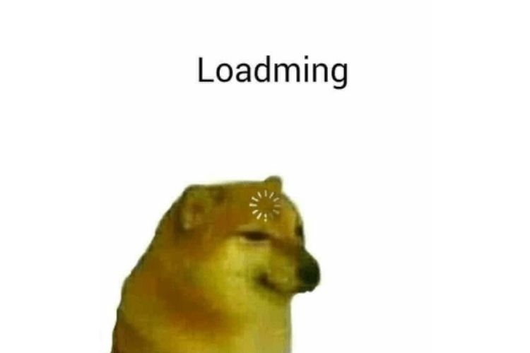 Top meme ảnh chó hài hước trên mạng xã hội, nguồn gốc và ý nghĩa!