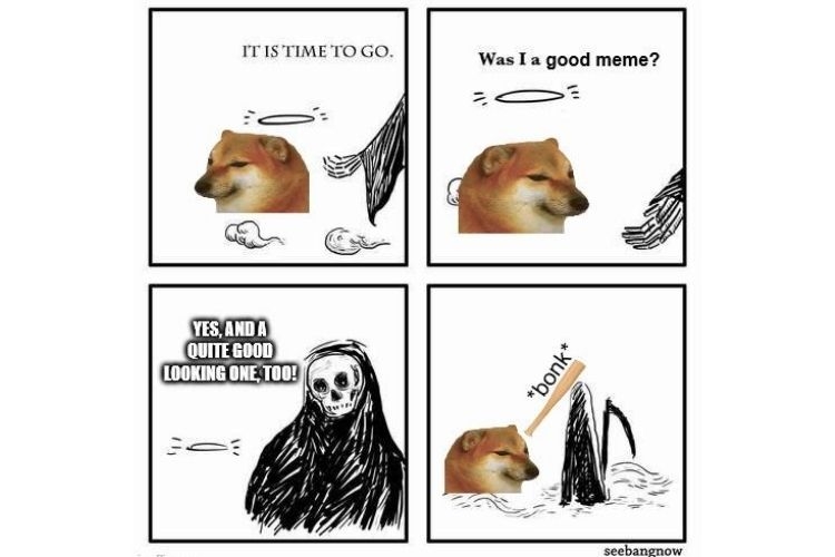 Top meme ảnh chó hài hước trên mạng xã hội, nguồn gốc và ý nghĩa!