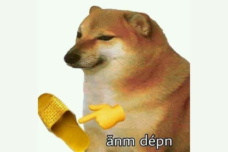 Top meme ảnh chó hài hước trên mạng xã hội, nguồn gốc và ý nghĩa!