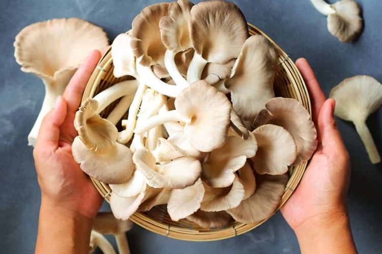 Cách nấu bún rong biển chay thanh đạm lạ miệng