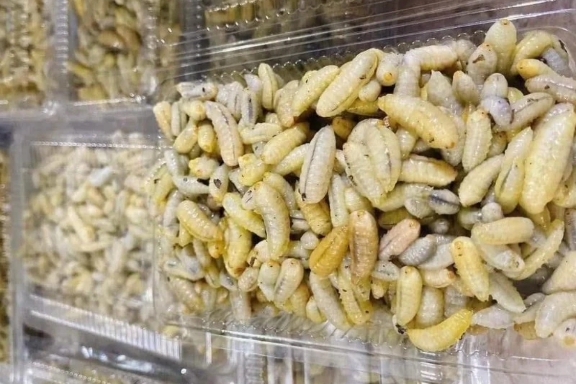 Cháo ong non là gì? Bí quyết chọn mua, sơ chế và bảo quản