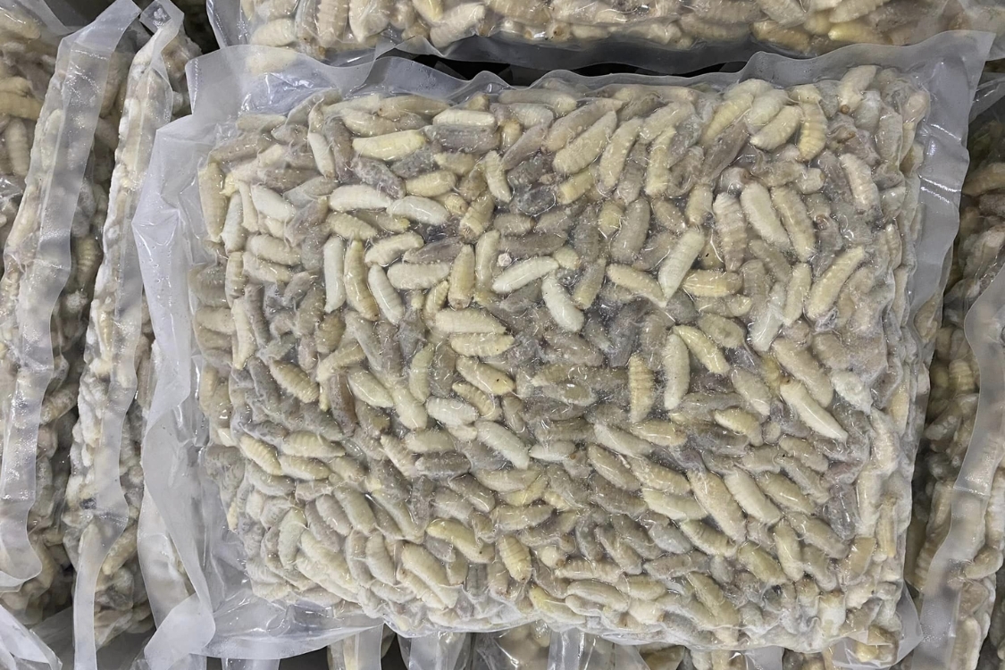 Cháo ong non là gì? Bí quyết chọn mua, sơ chế và bảo quản