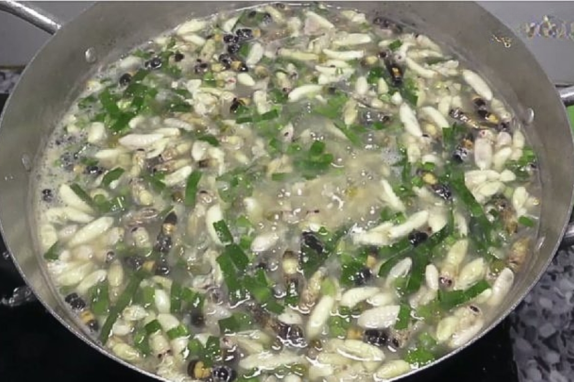 Cháo ong non là gì? Bí quyết chọn mua, sơ chế và bảo quản