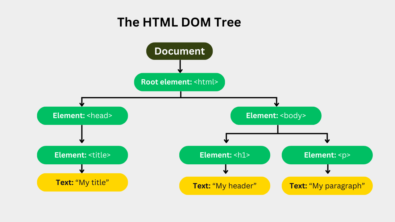DOM là gì? Tìm hiểu mối quan hệ giữa DOM với Javascript