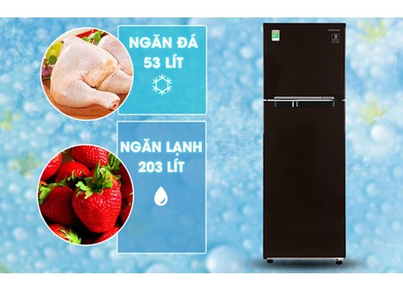 Tủ lạnh Samsung 256L có tốt không? Đánh giá chi tiết sản phẩm