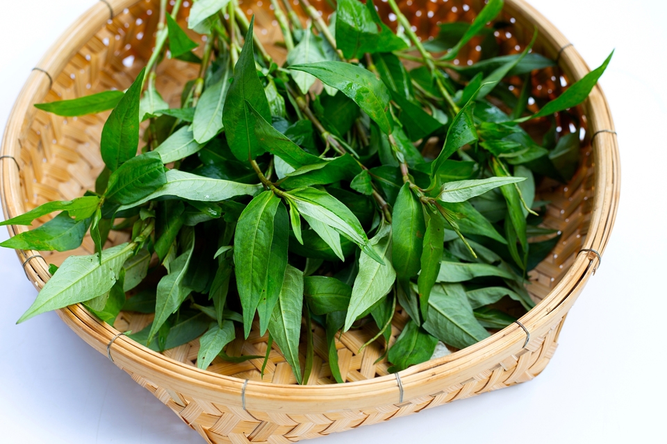 Bỏ túi cách làm muối rau răm đơn giản đảm bảo chấm gì cũng ngon