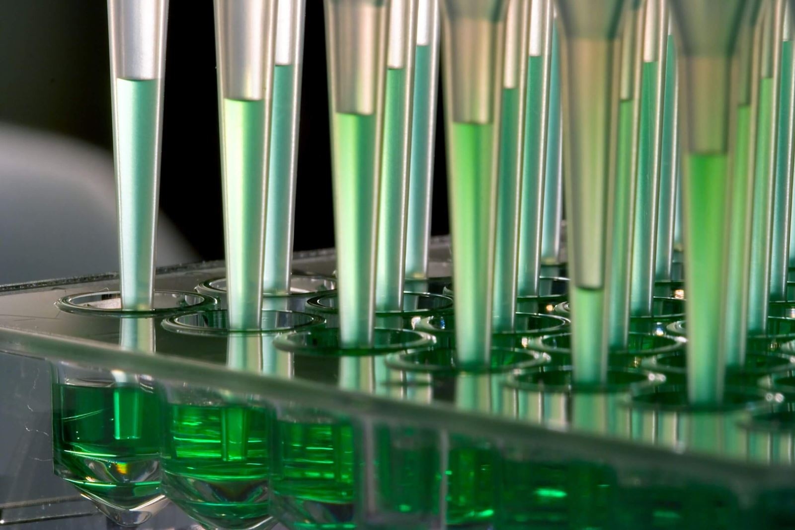 PPM là gì? Ý nghĩa PPM trong nước, cách sử dụng và quy đổi