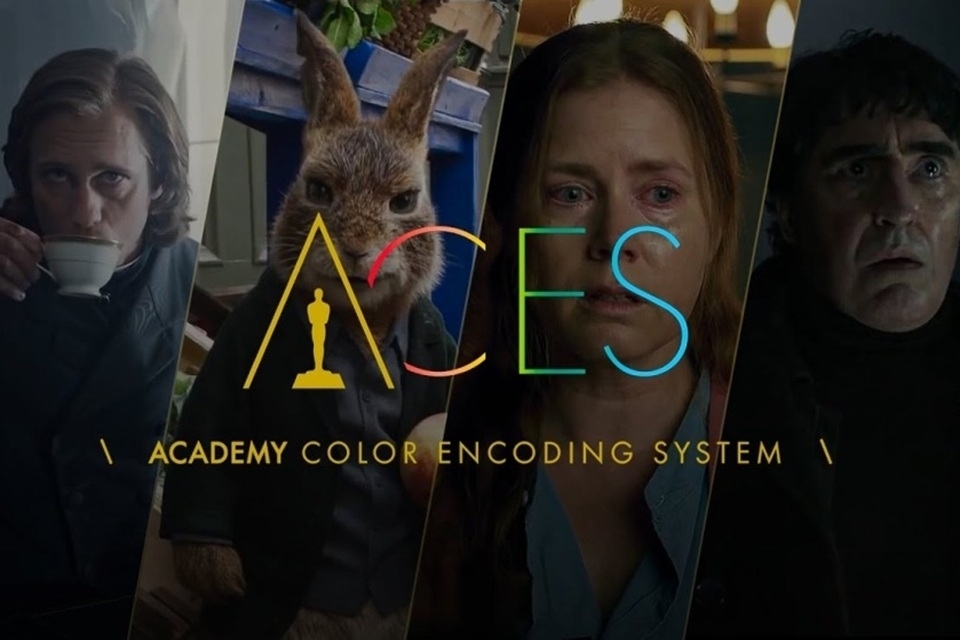 Academy Color Encoding System trên các dòng iPhone là gì?