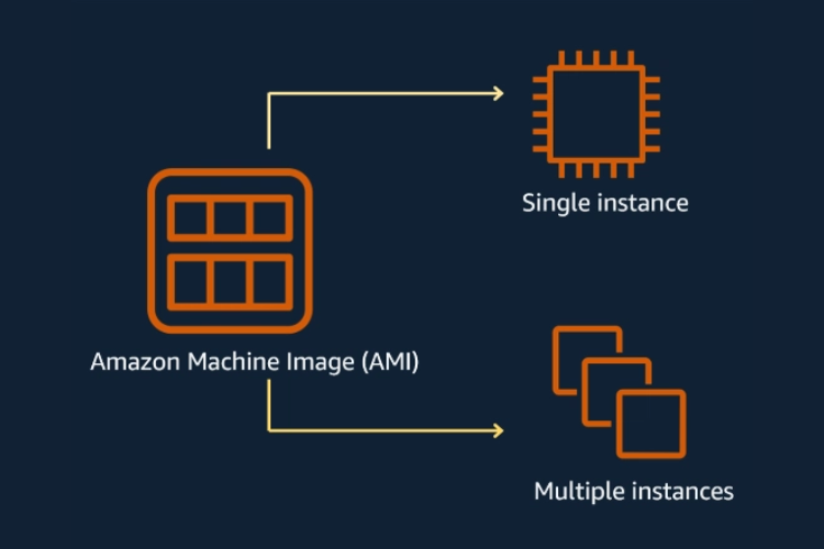 AMI AWS là gì? Các loại Amazon Machine Image phổ biến trên AWS