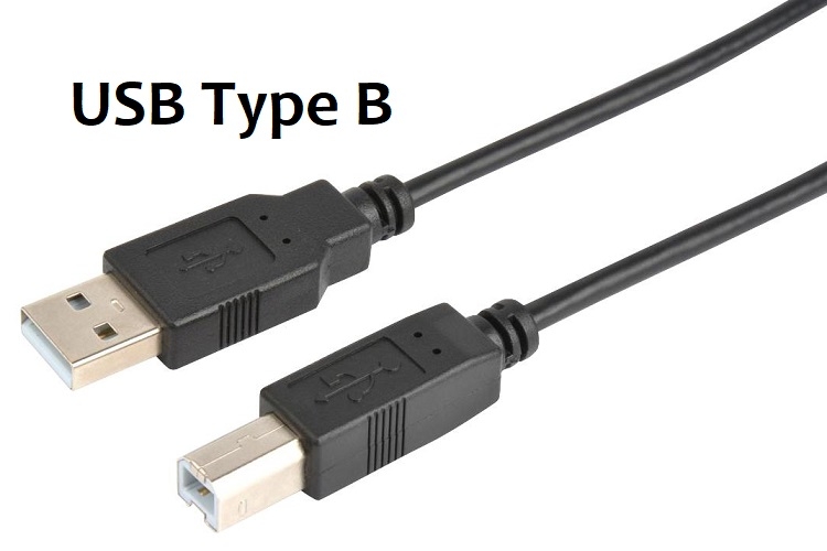 USB Type B - Khám phá cổng kết nối phổ biến của thiết bị ngoại vi
