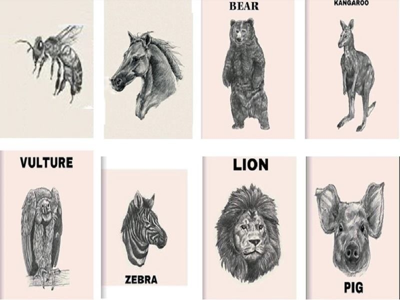 Ứng dụng Animal 4D+: Công cụ học tập sinh động dành cho trẻ em