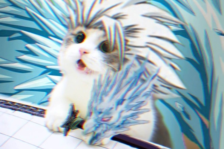 Trọn bộ avatar mèo đẹp – độc – lạ dành cho những ai yêu thích thú cưng