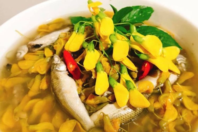 Bông điên điển nấu gì ngon? Tất tần tật các món lẩu, canh, xào, bánh ...