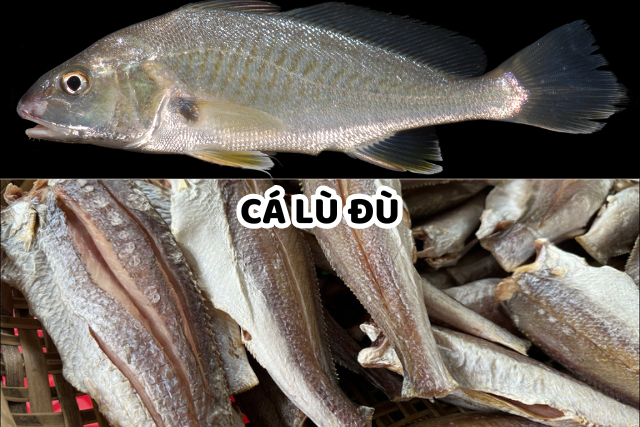 Cá lù đù vừa rẻ, vừa ngon lại dễ chế biến khiến ai ăn cũng ghiền