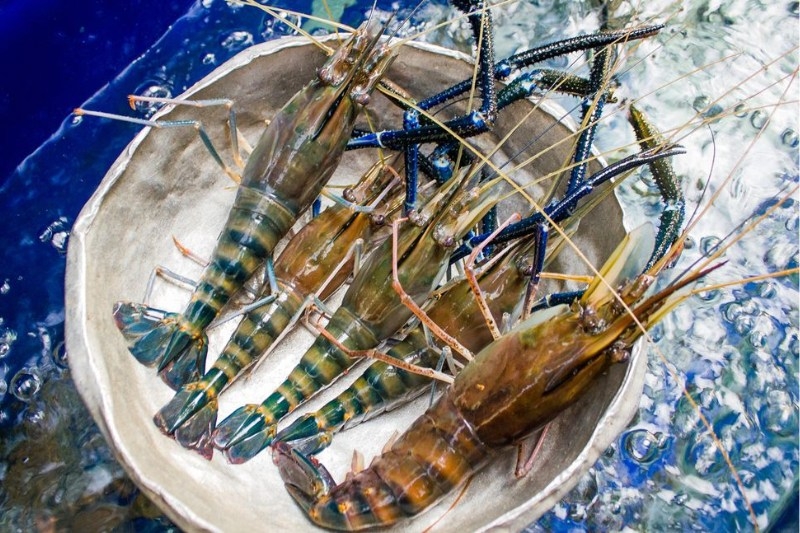 Công thức nấu cà ri tôm càng xanh lạ miệng cho bữa cơm nhà