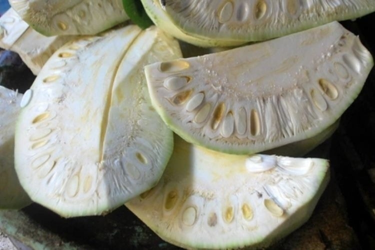 Cách bảo quản mít non trong tủ lạnh: Giữ độ tươi ngon, giòn và dinh ...