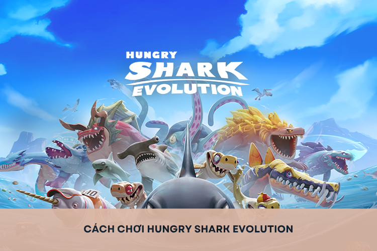 Hướng dẫn cách chơi Hungry Shark Evolution đơn giản, dễ hiểu