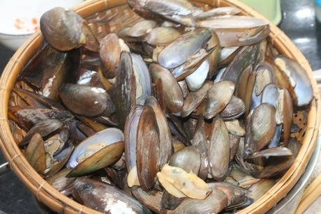 Cách làm chem chép xào rau thơm ngon cho bữa cơm gia đình