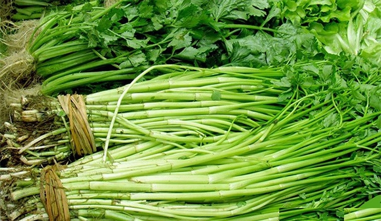 Cách làm chem chép xào rau thơm ngon cho bữa cơm gia đình