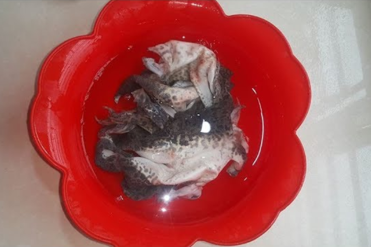 Chi tiết cách sơ chế ếch sạch, nhanh chóng giúp món ăn thêm ngon
