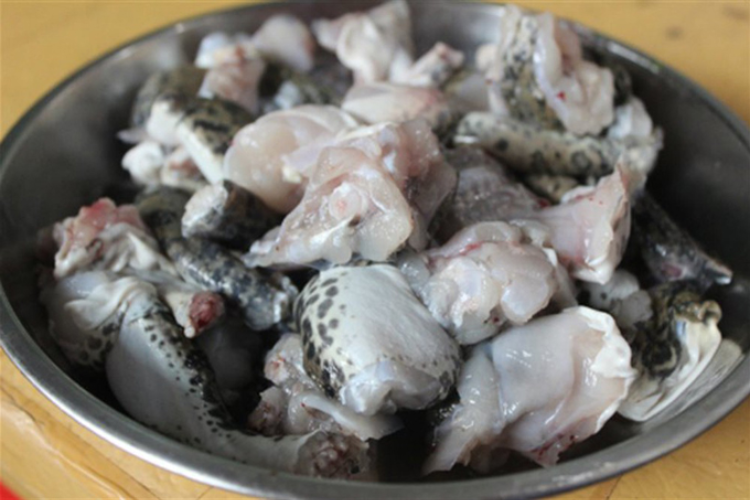 Chi tiết cách sơ chế ếch sạch, nhanh chóng giúp món ăn thêm ngon