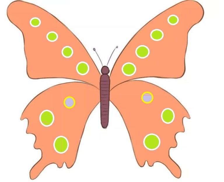 Cách vẽ con bướm đơn giản, đẹp mắt khiến ai cũng thích mê khi xem