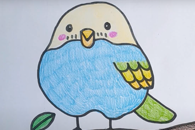 Cách vẽ con chim đơn giản mà đẹp, ai cũng có thể học được dễ dàng