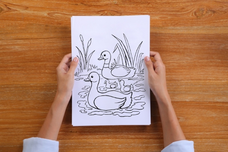 Hướng dẫn nhanh cách vẽ con vịt dễ thương với nét vẽ đơn giản