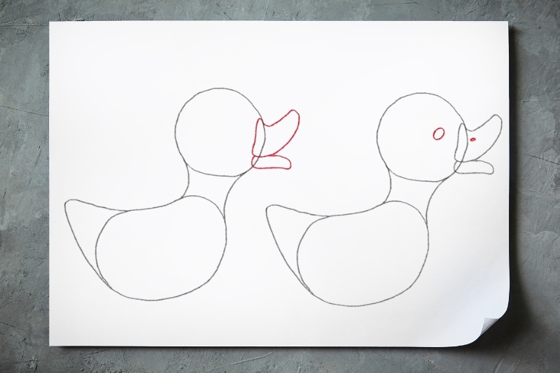Hướng dẫn nhanh cách vẽ con vịt dễ thương với nét vẽ đơn giản