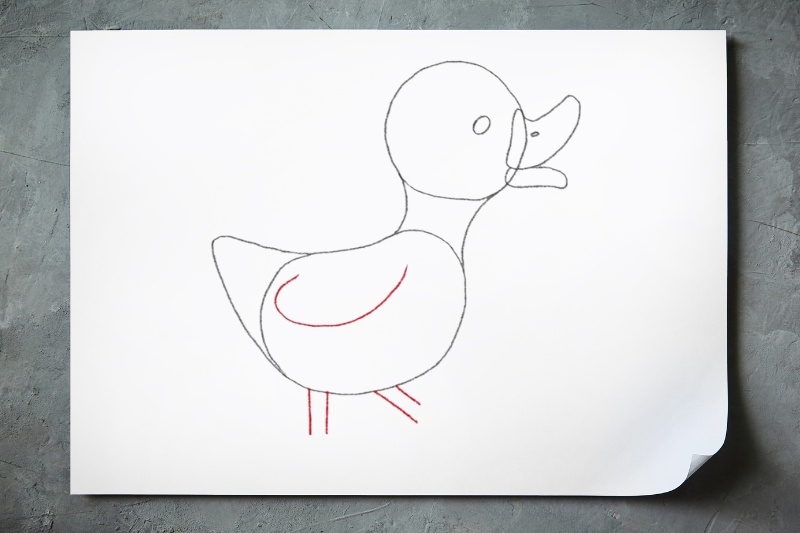 Hướng dẫn nhanh cách vẽ con vịt dễ thương với nét vẽ đơn giản