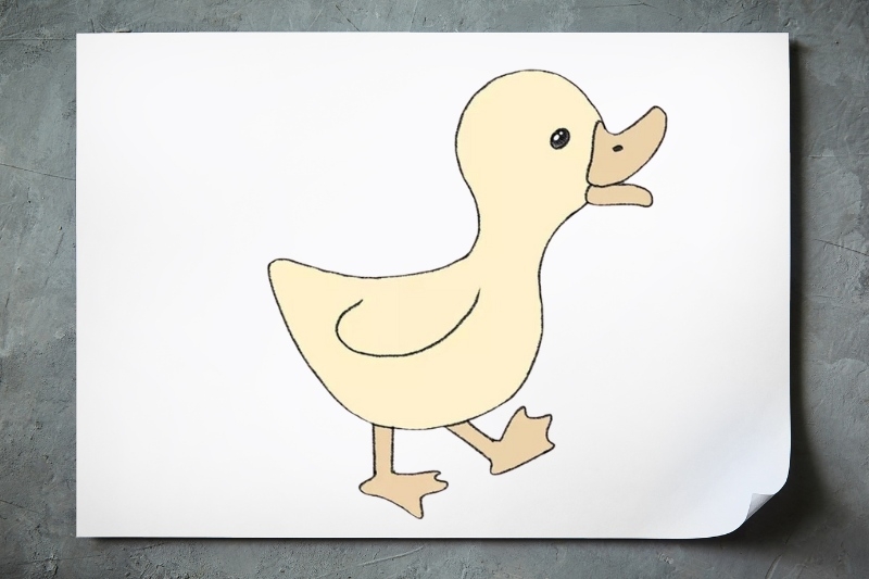 Hướng dẫn nhanh cách vẽ con vịt dễ thương với nét vẽ đơn giản