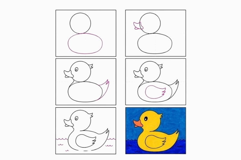 Hướng dẫn nhanh cách vẽ con vịt dễ thương với nét vẽ đơn giản
