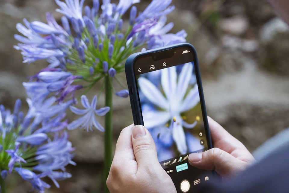 Camera macro trên smartphone: Có đáng để nâng cấp hay không?