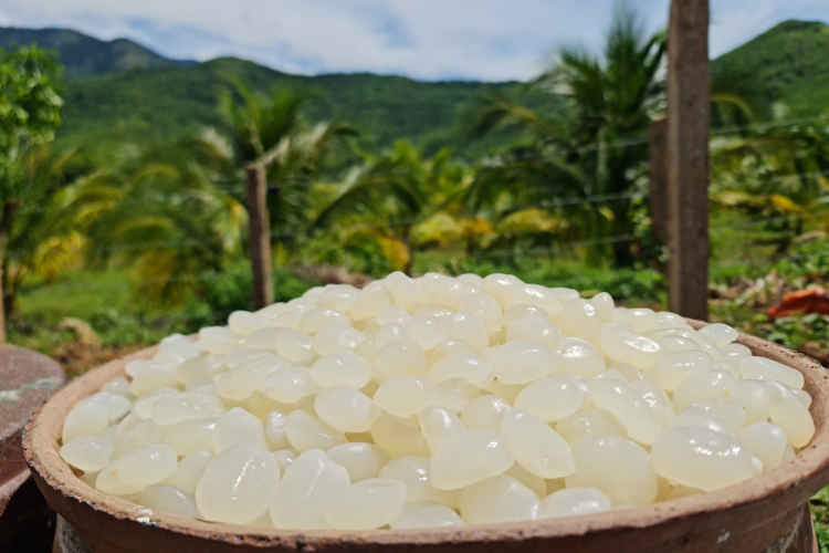 Hướng dẫn cách làm chè hạt đác ngọt thanh, thơm ngon tại nhà