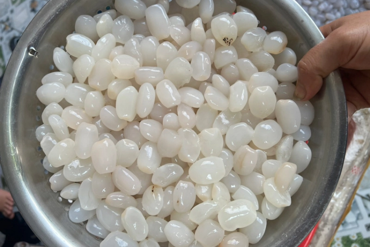 Hướng dẫn cách làm chè hạt đác ngọt thanh, thơm ngon tại nhà