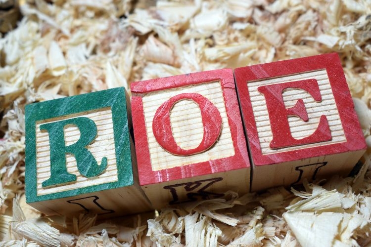 Chỉ số ROE là gì? Cách tính và ý nghĩa của ROE trong tài chính