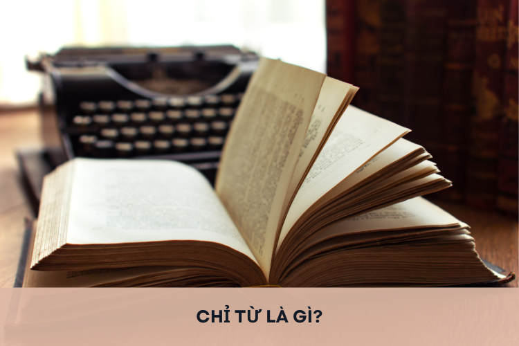 Chỉ từ là gì? Tìm hiểu đặc điểm, vai trò và hướng dẫn cách dùng