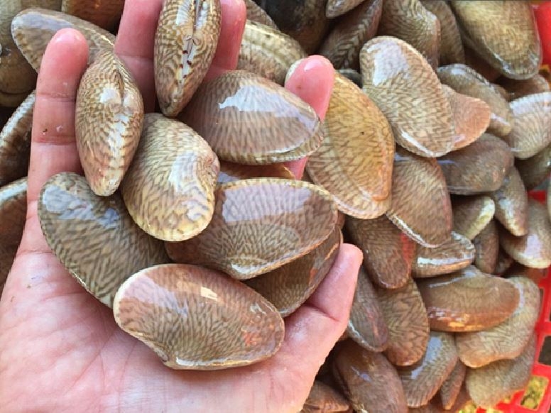 Thưởng thức món chíp chíp hấp thơm ngon, bổ dưỡng với cách làm siêu đơn ...