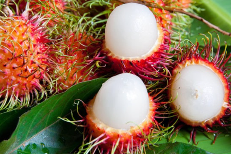 Chôm chôm bao nhiêu calo? Ăn chôm chôm có béo không?