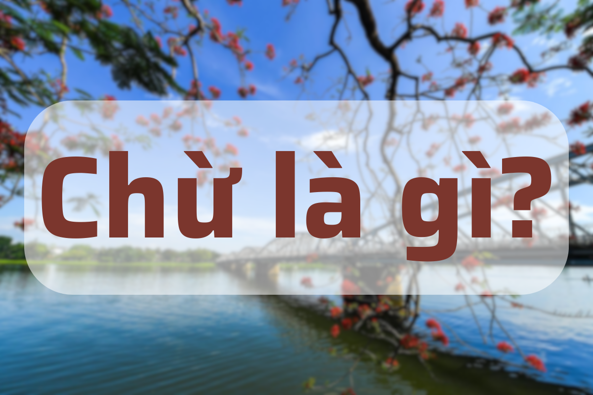 Chừ là gì? Giải mã từ ngữ mộc mạc, thân thuộc của miền Trung