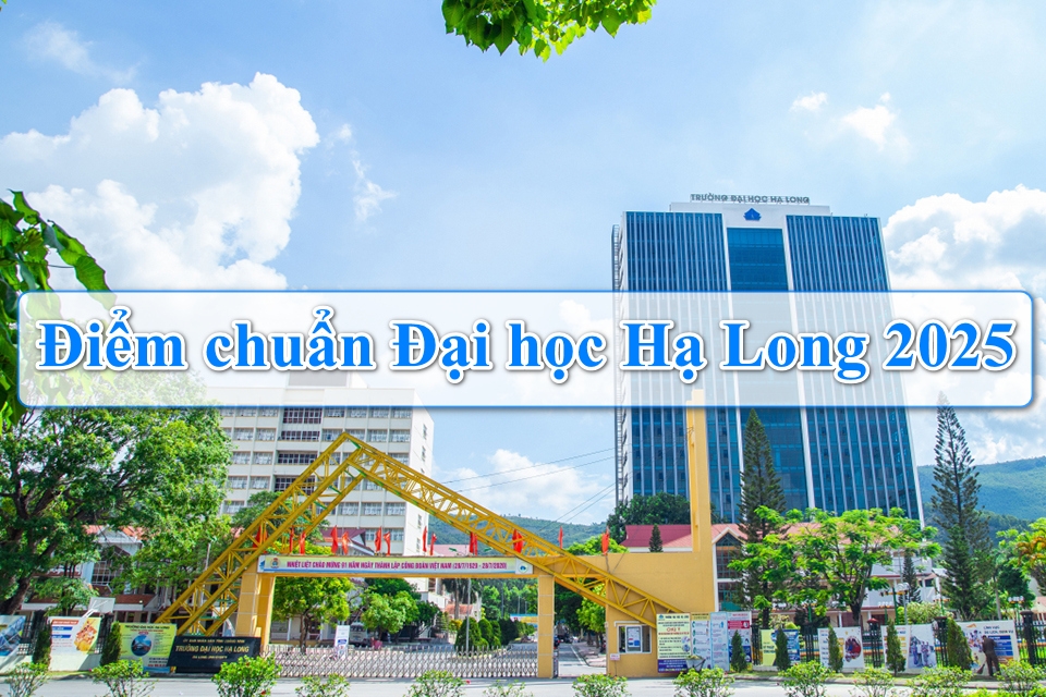 Toàn cảnh điểm chuẩn Đại học Hạ Long 2025: Ngành nào hot nhất năm nay
