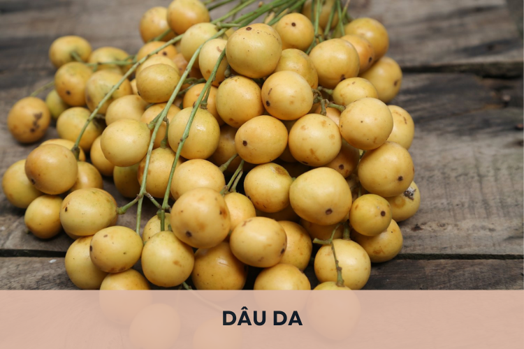 Dâu da là quả gì? Các đặc điểm, cách nhận biết và tác dụng