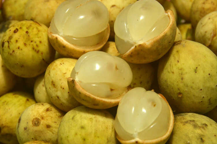 Dâu da là quả gì? Các đặc điểm, cách nhận biết và tác dụng