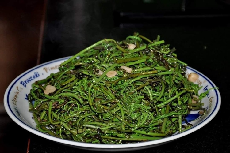 Rau đọt choại là loại rau gì? Những món ngon được chế biến từ rau