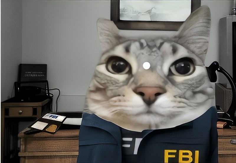 FBI meme là gì? Khám phá bộ sưu tập các ảnh chế FBI thú vị