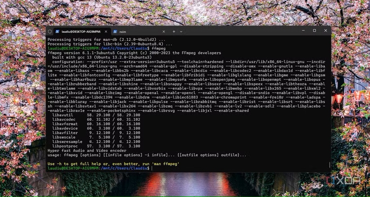 Fedora Linux chính thức có mặt trên WSL mở rộng lựa chọn cho người dùng Windows