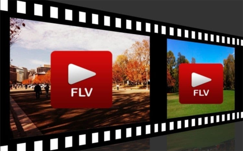 File FLV là gì? Tìm hiểu định dạng FLV cách mở file FLV hiệu quả